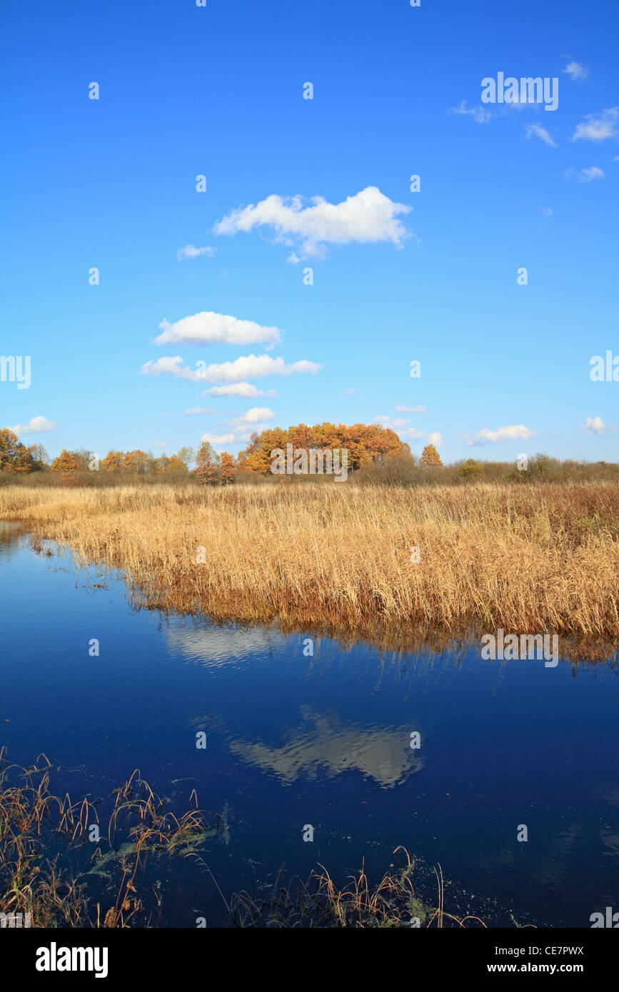 Small garden pond autumn hi-res stock photography and images - Alamy