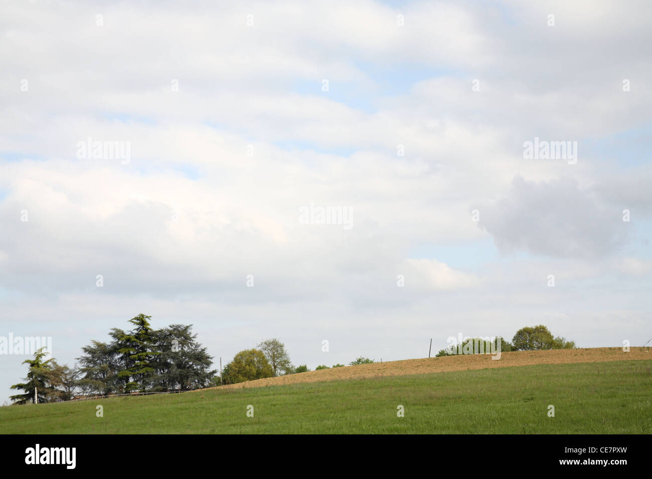 Italian field hi-res stock photography and images - Alamy