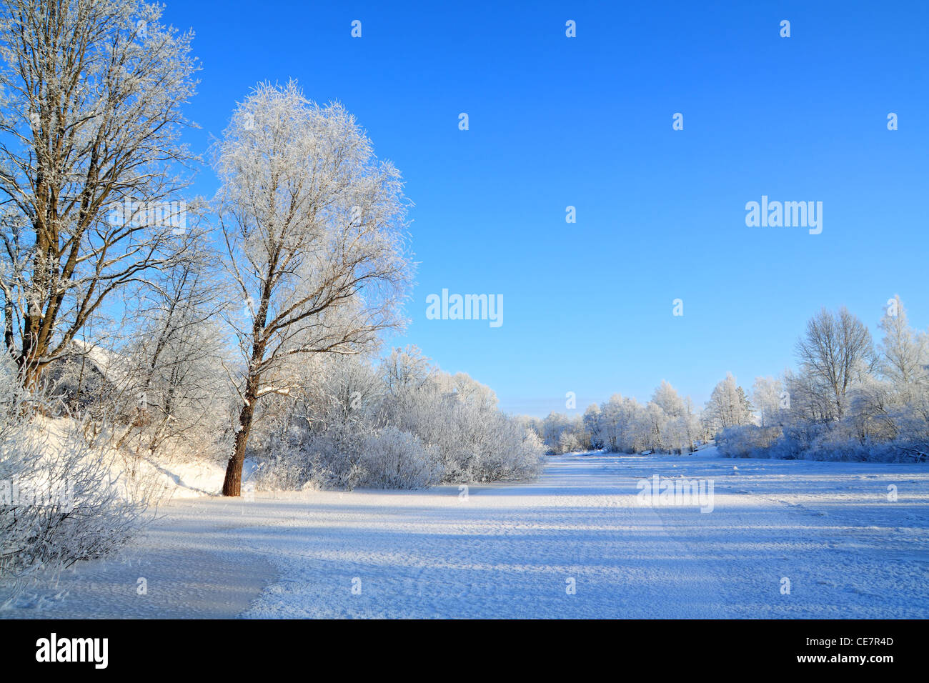 Freeze image hi-res stock photography and images - Alamy