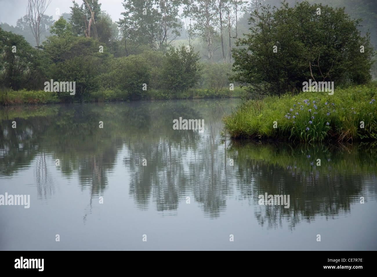 tranquil lake scene Stock Photo - Alamy