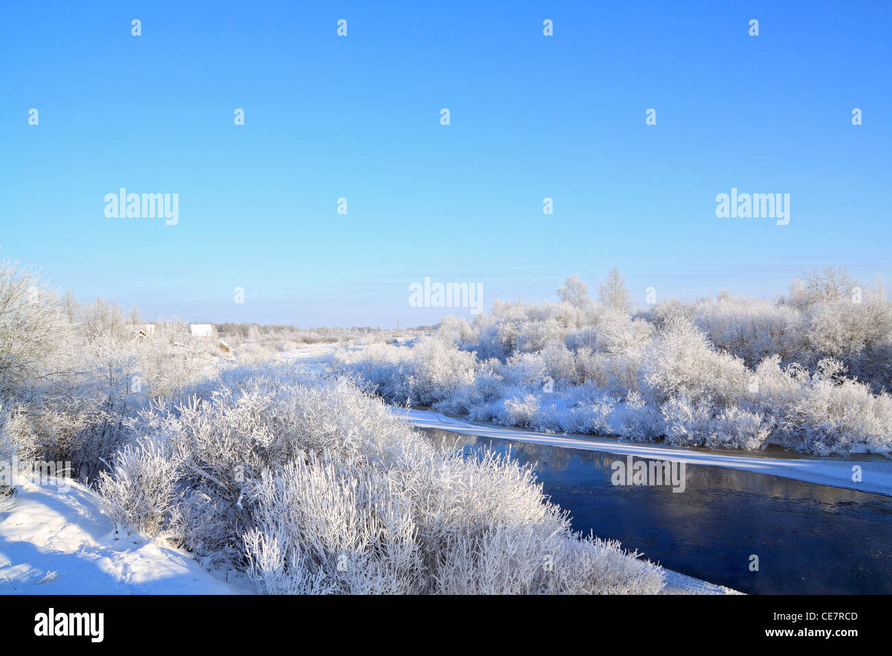 snow tree on coast river Stock Photo - Alamy