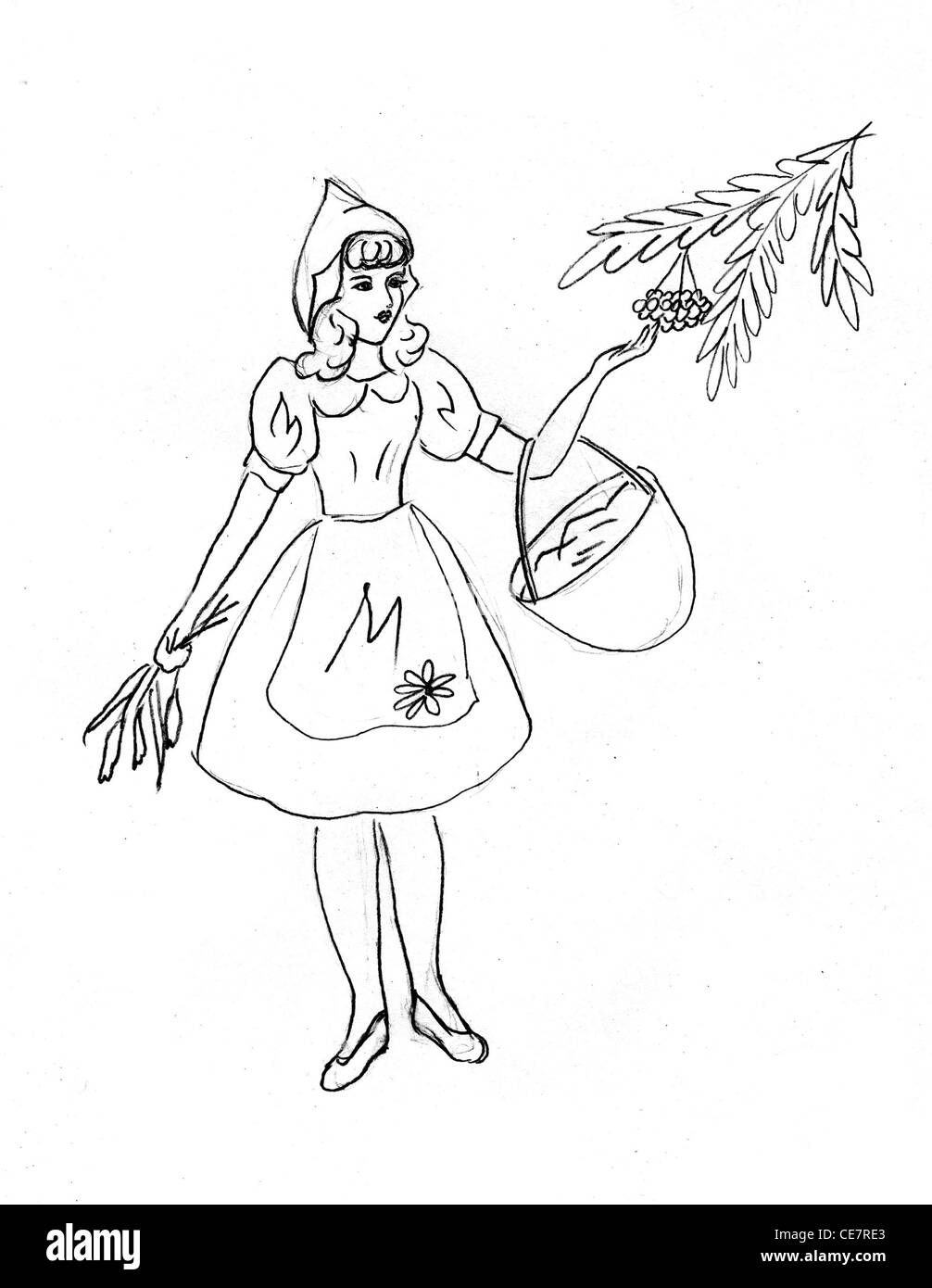 drawing of the girl collecting berries Stock Photo - Alamy