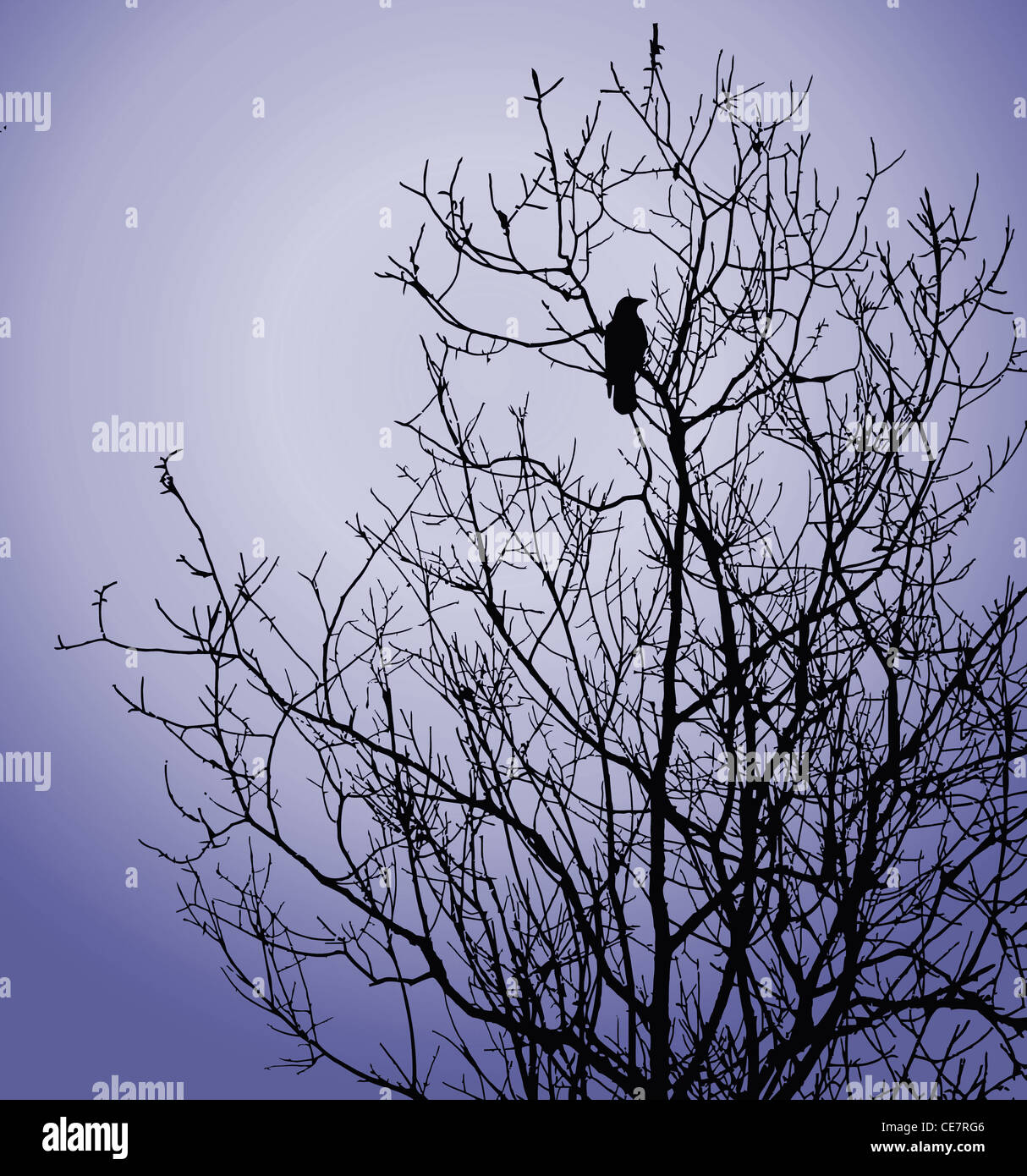 bird on tree on background winter sky Stock Photo - Alamy