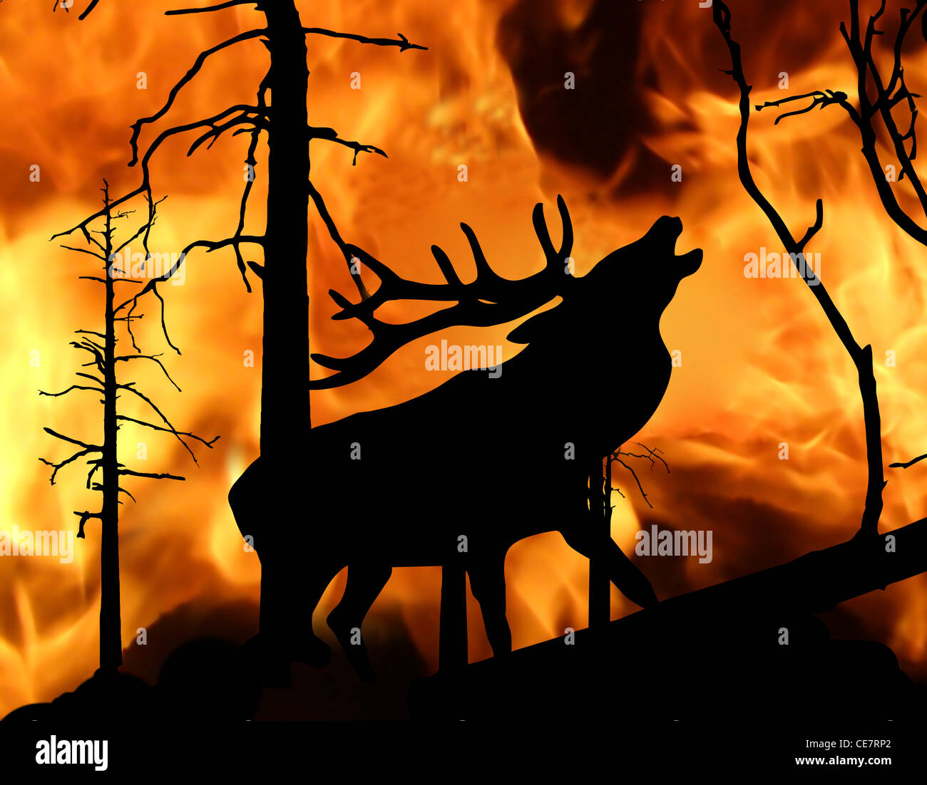 illustration of the deer running away from fire in wood Stock Photo - Alamy