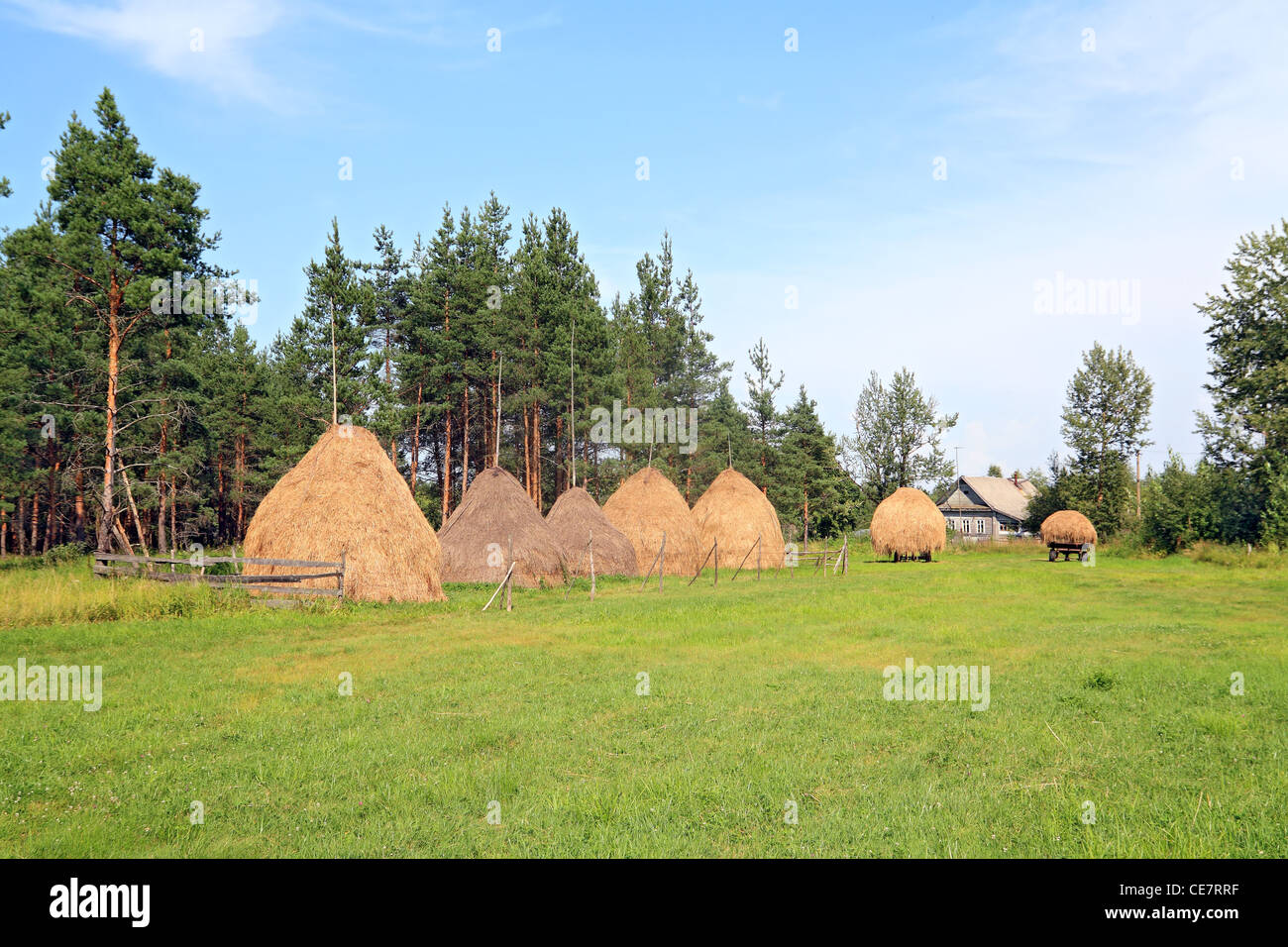 Stack of straw on field farming hi-res stock photography and images - Alamy