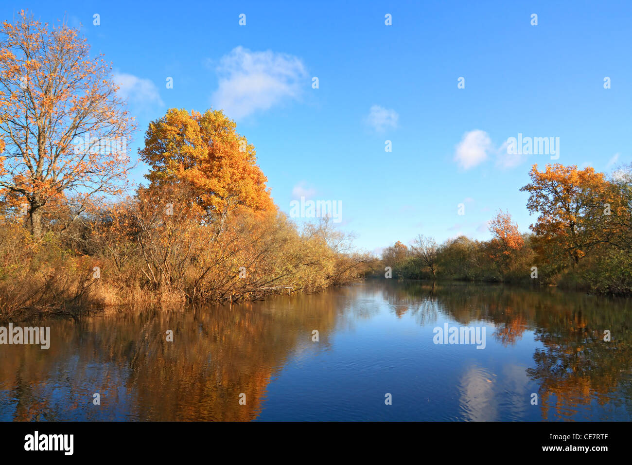 autumn wood on coast river Stock Photo - Alamy