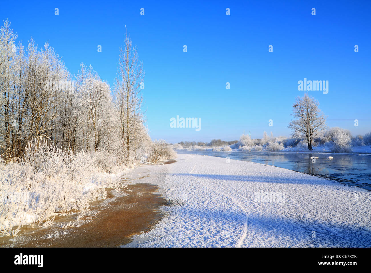 snow bushes on coast river Stock Photo - Alamy