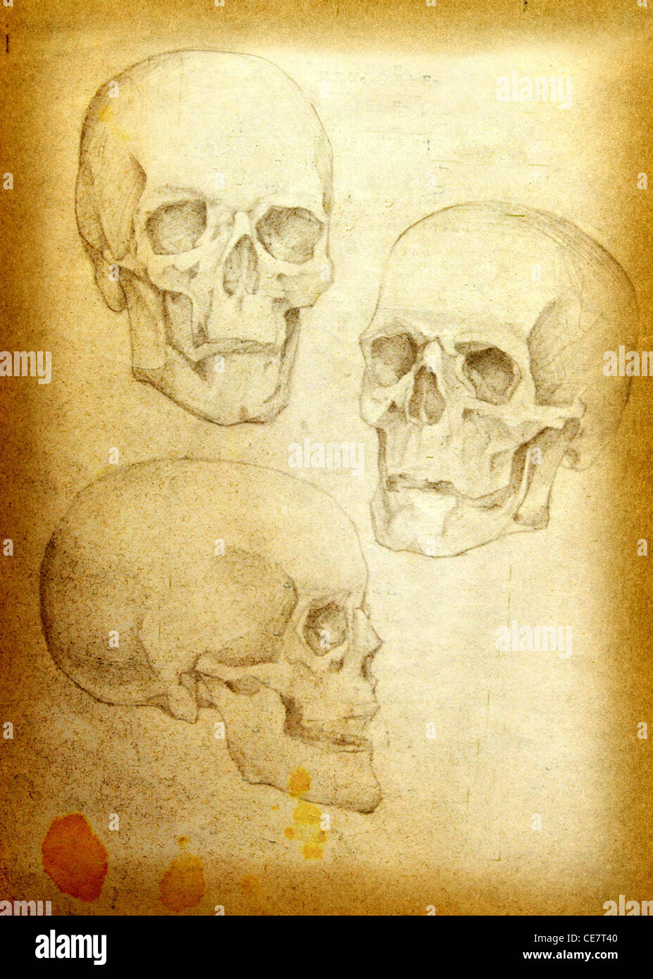 Burnt skeleton texture hi-res stock photography and images - Alamy