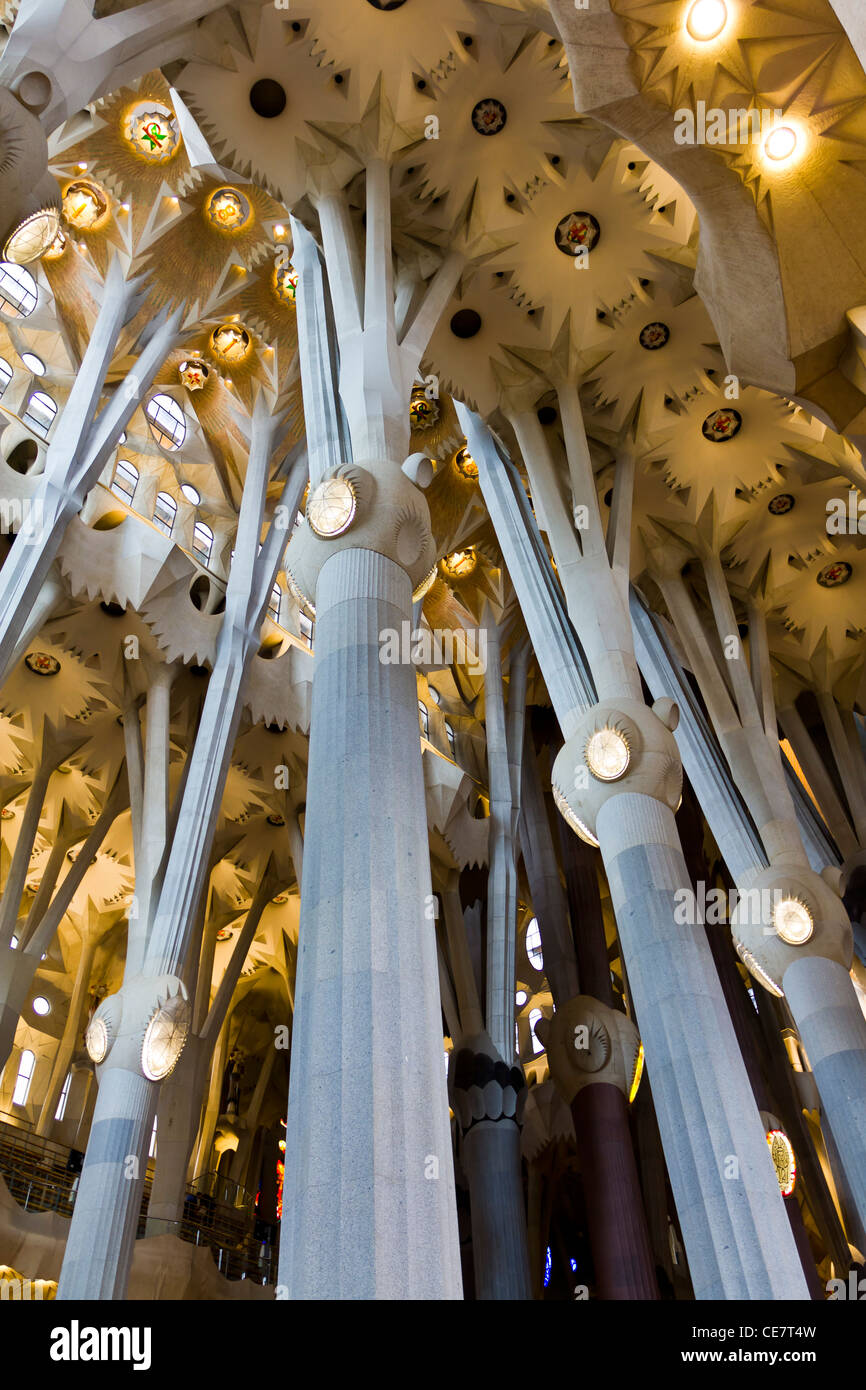 Interior columns in Gaudi cathedral, the Sagrada Familia - one of the ...