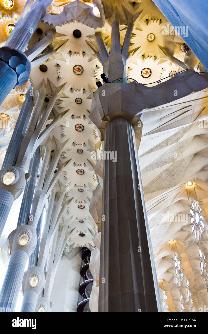 Interior columns in Gaudi cathedral, the Sagrada Familia - one of the ...