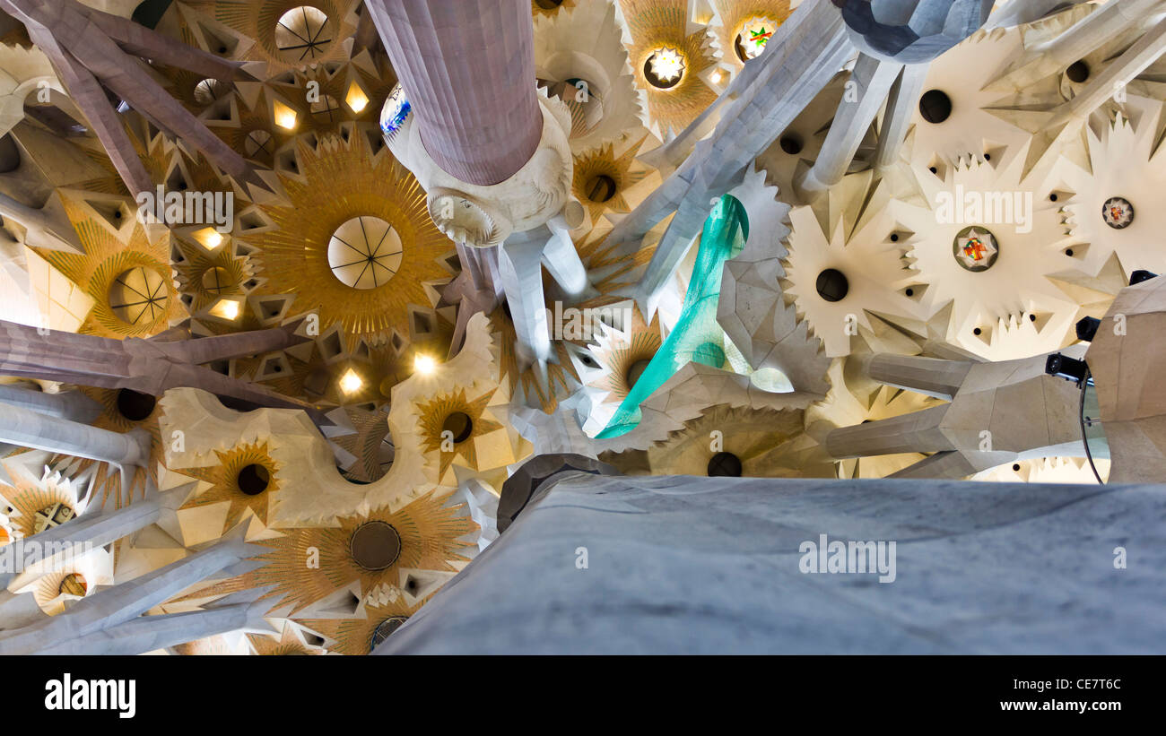 Ceiling of Gaudi cathedral, the Sagrada Familia - one of the most ...