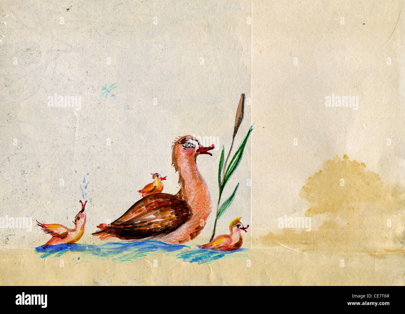 Drawing duck hi-res stock photography and images - Alamy