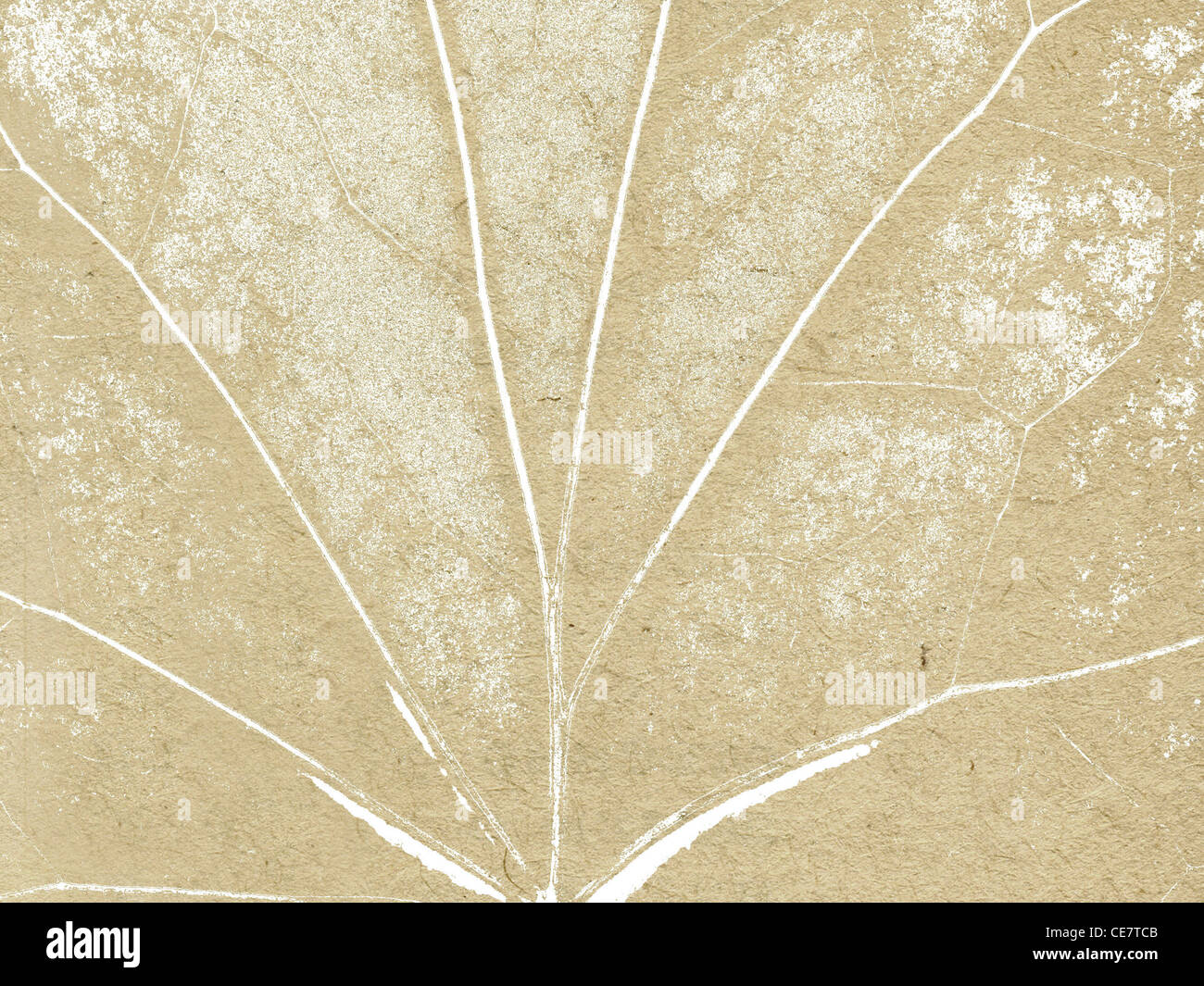 vector texture of the old paper Stock Photo - Alamy