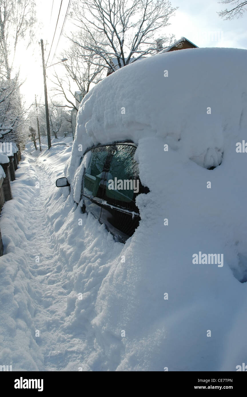cars covered with snow in the winter blizzard Stock Photo - Alamy