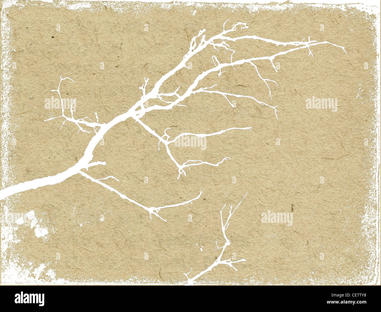 vector texture of the old paper Stock Photo - Alamy