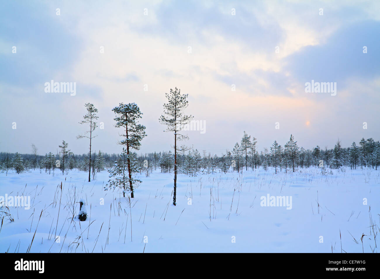 Crystal marsh hi-res stock photography and images - Alamy