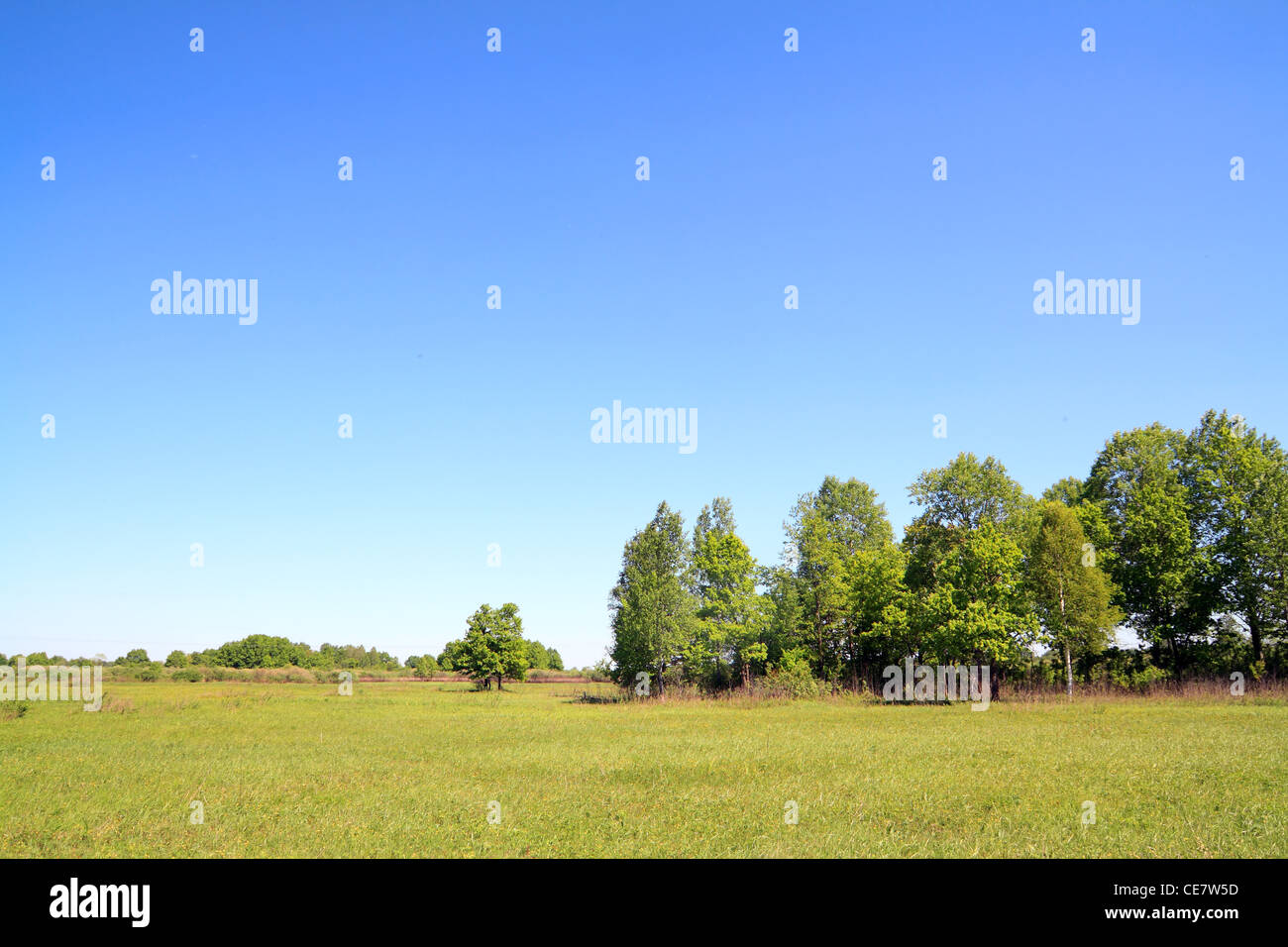 Copse farm hi-res stock photography and images - Alamy
