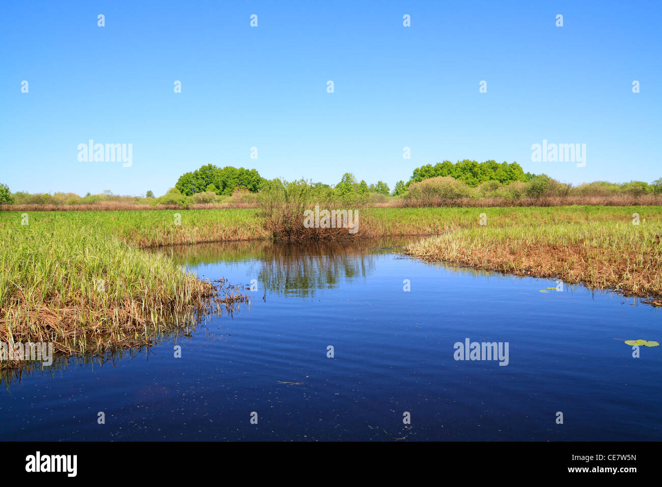 Small river on spring hi-res stock photography and images - Alamy