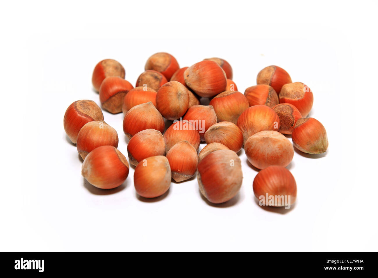 ripe hazelnut on white background Stock Photo - Alamy