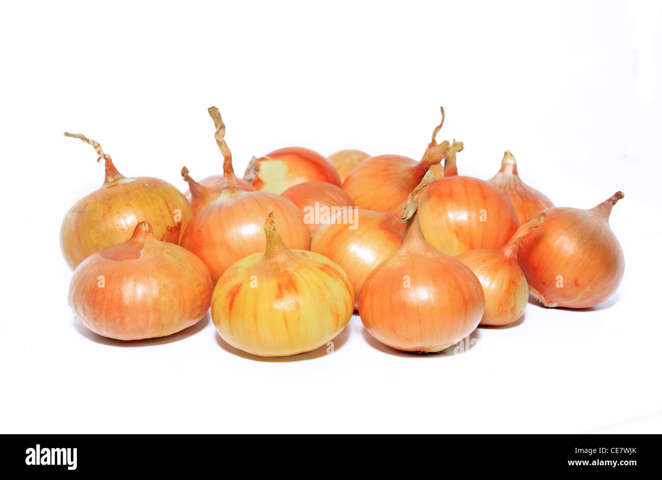onion on white background Stock Photo - Alamy