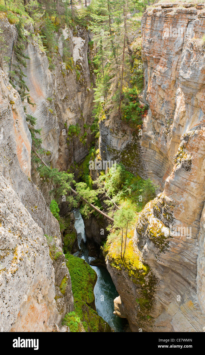 Maligne Canyon, Jasper National Park, Alberta, Canada Stock Photo - Alamy