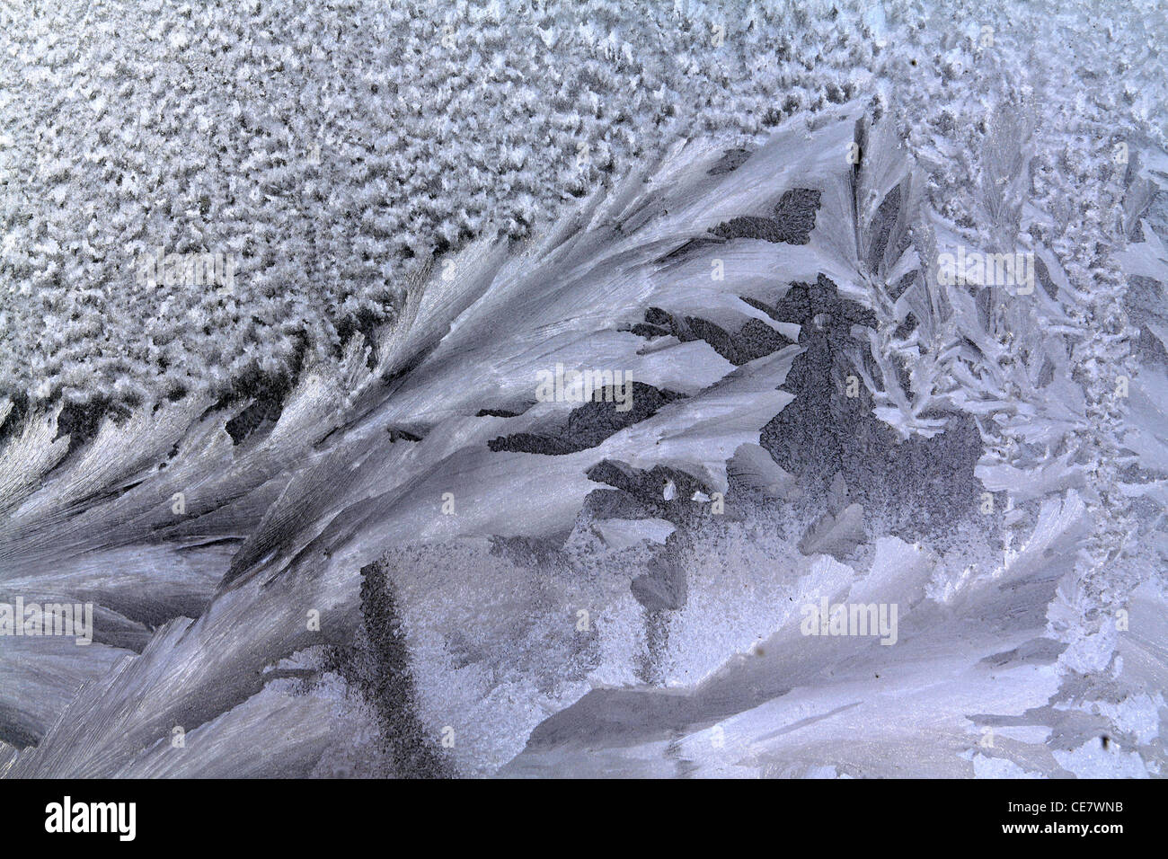 ice on window Stock Photo - Alamy