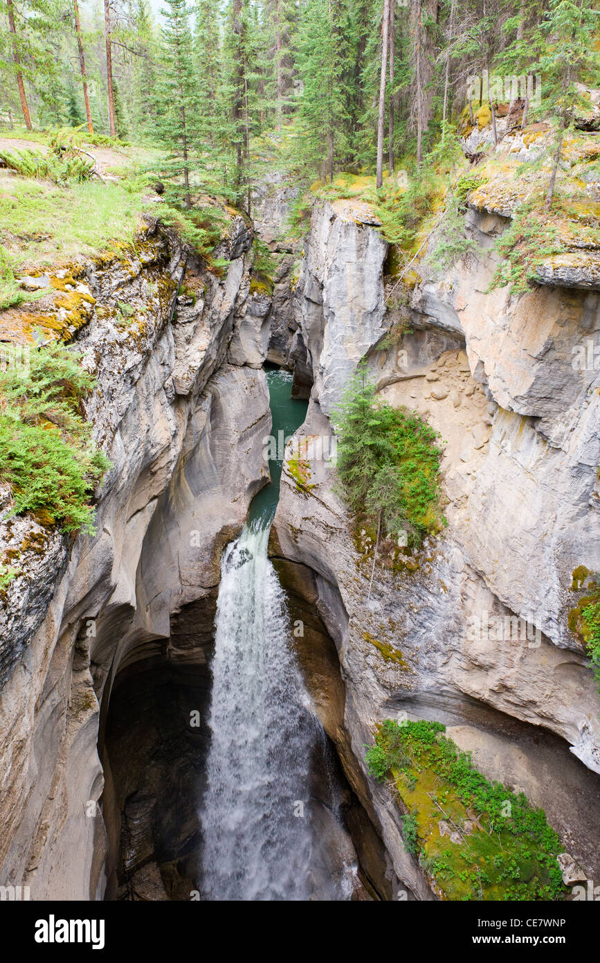 Maligne Waterfall, Maligne Canyon, Jasper National Park, Alberta ...