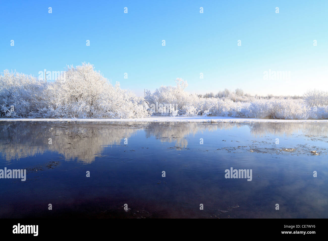 snow bushes on coast river Stock Photo - Alamy