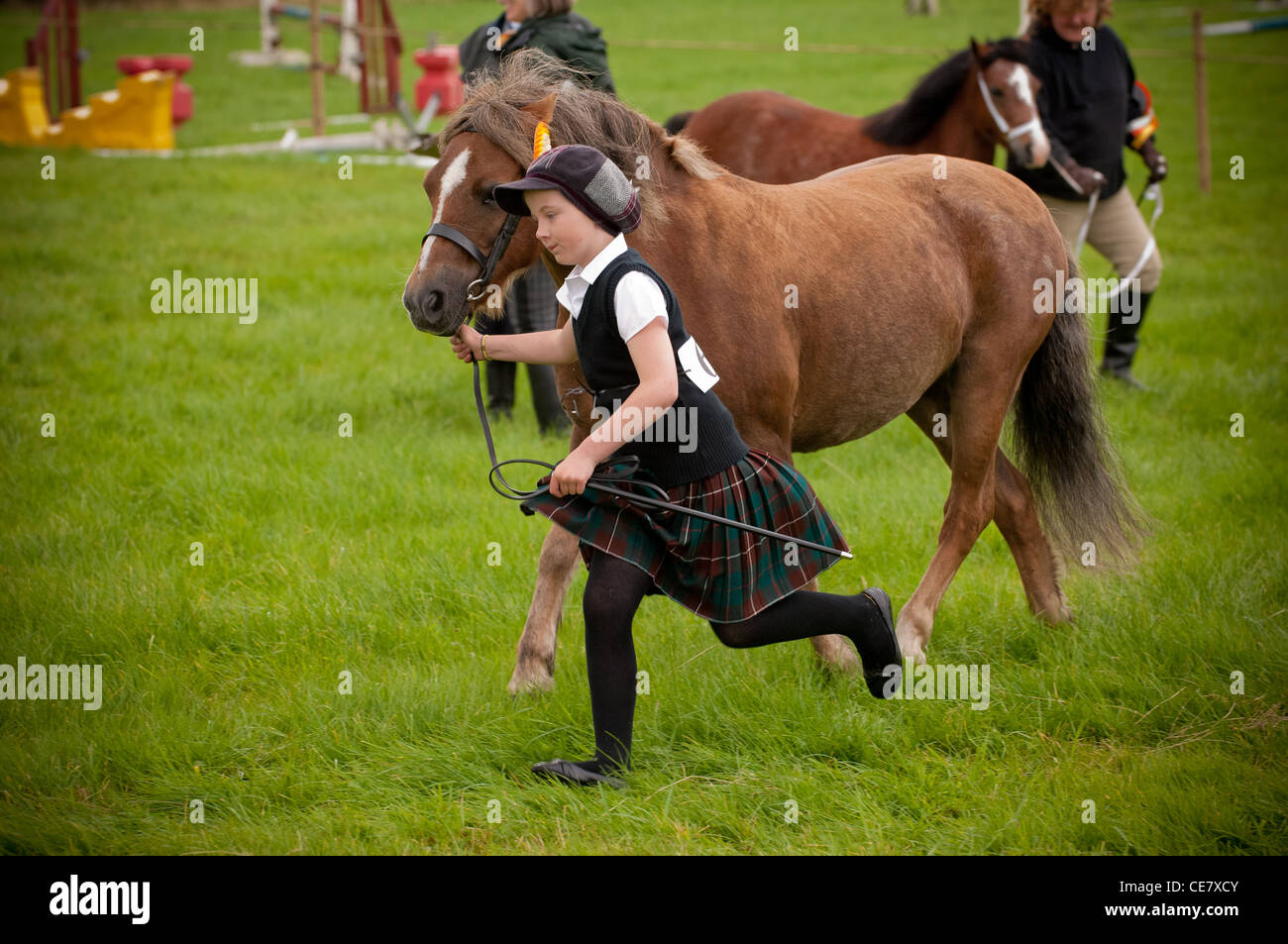 Ponies at the local country show Stock Photo - Alamy