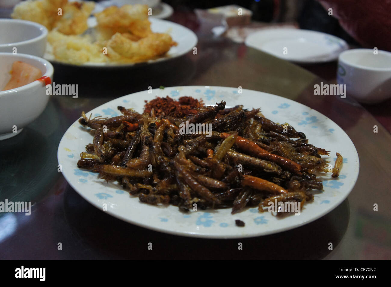 China insect food hi-res stock photography and images - Alamy