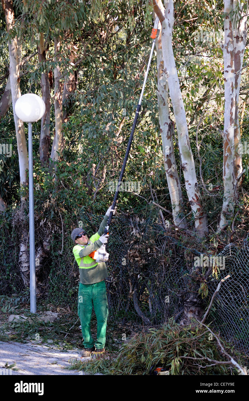 Hedge cutting workman, Calypso, Mijas Costa, Malaga Province, Costa del ...