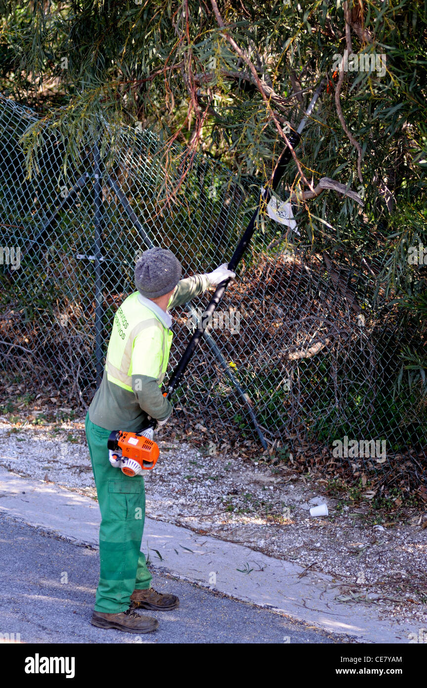 Hedge cutting workman, Calypso, Mijas Costa, Malaga Province, Costa del ...