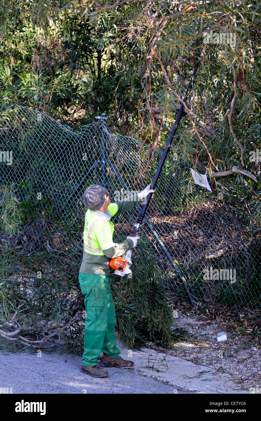 Hedge cutting workman, Calypso, Mijas Costa, Malaga Province, Costa del ...