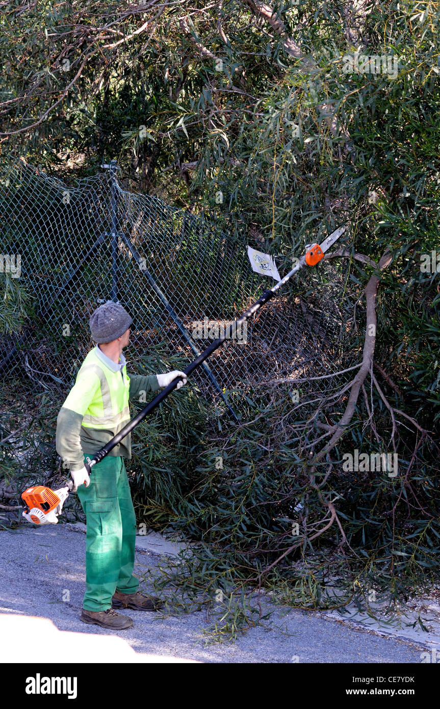 Hedge cutting workman, Calypso, Mijas Costa, Malaga Province, Costa del ...