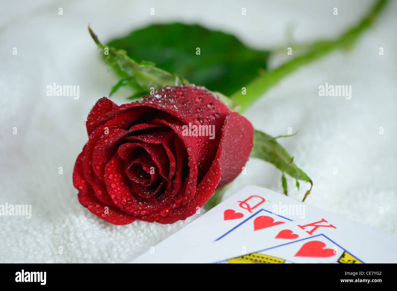 Flower cards hi-res stock photography and images - Alamy