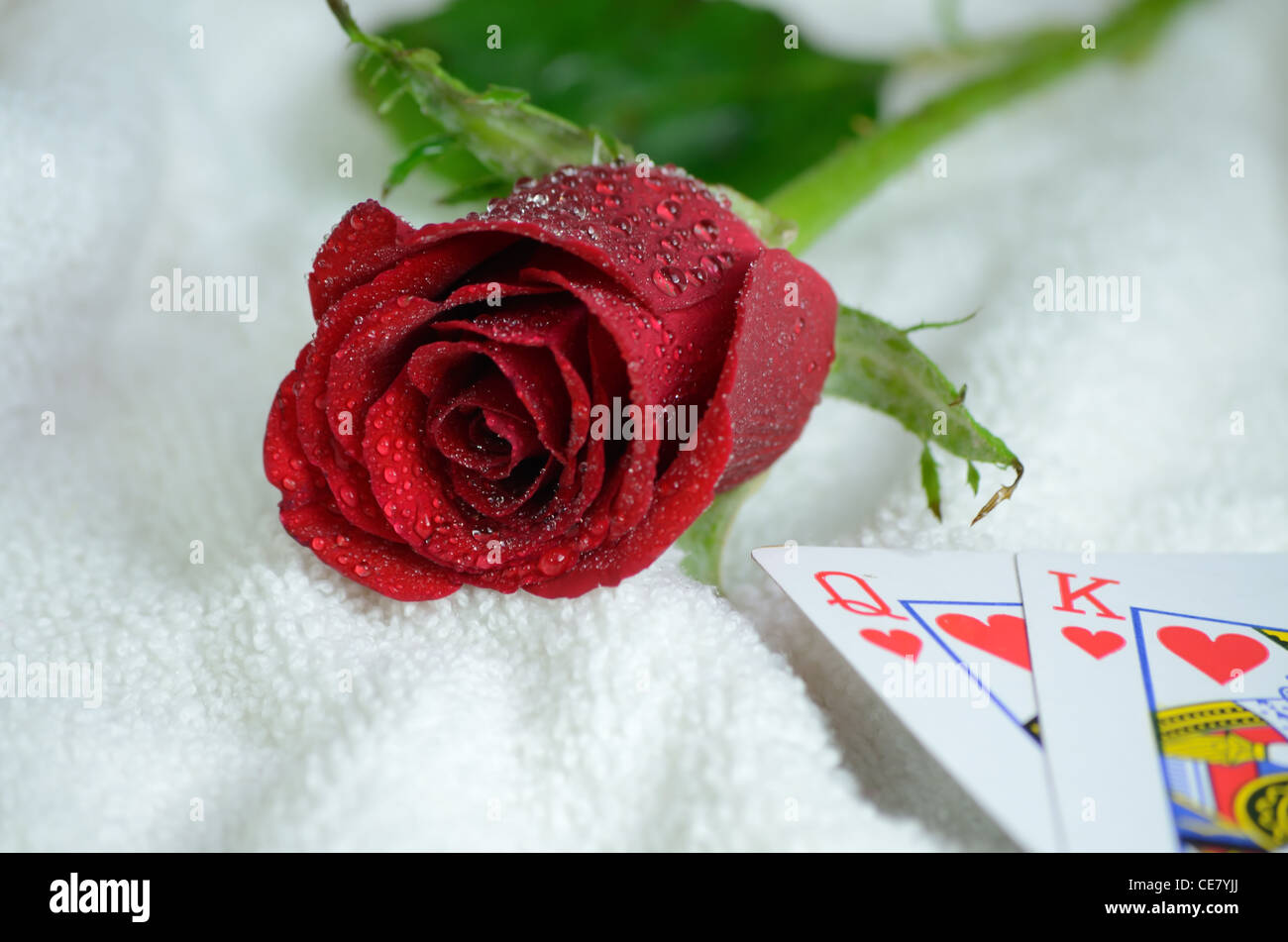 Red Rose and play Cards Stock Photo - Alamy