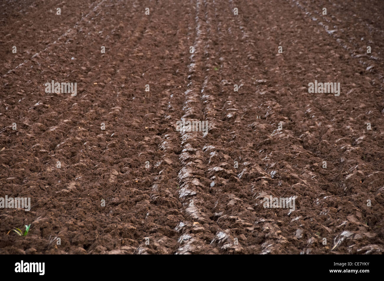 Dig soil winter hi-res stock photography and images - Alamy