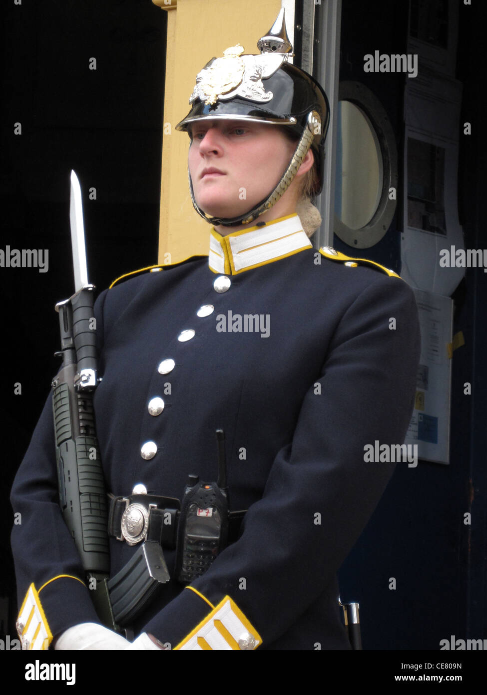 Royal Palace guard Stockholm,Sweden;Europe;Scandinavia Stock Photo - Alamy