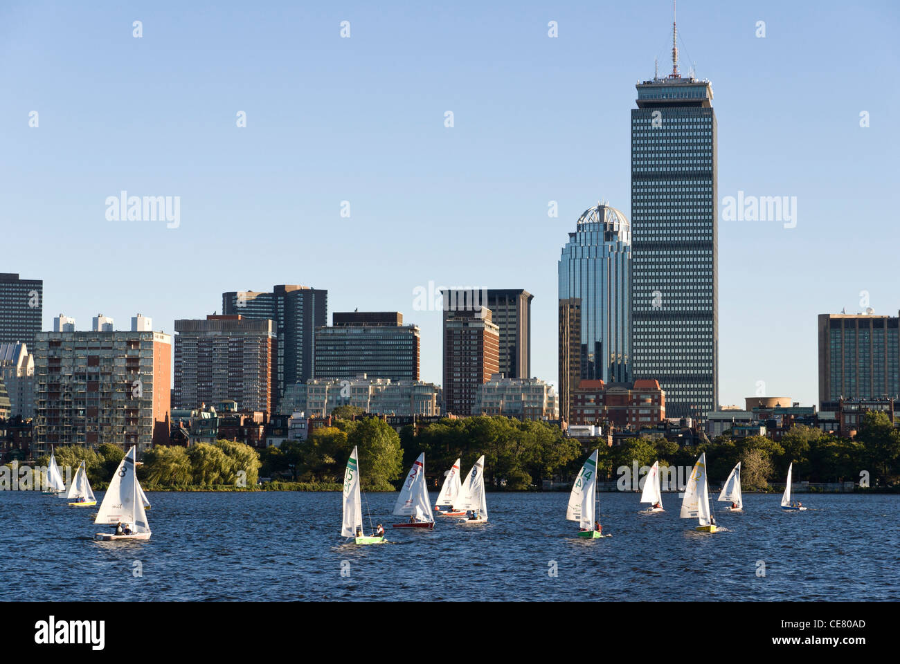 Sailboats on Charles River Basin, Boston, Massachusetts, USA Stock ...
