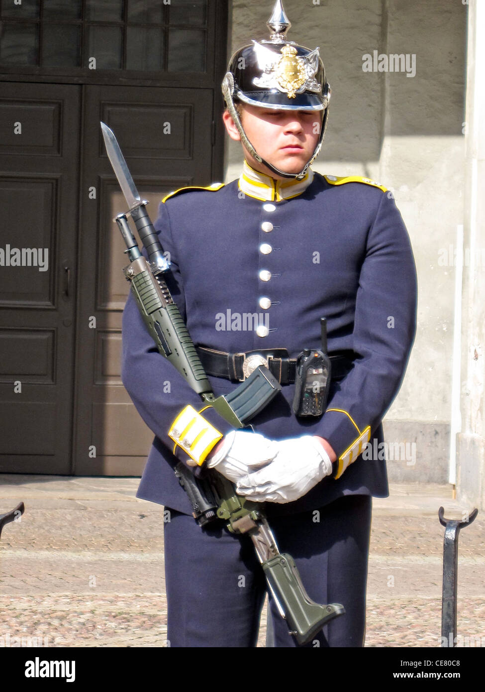 Three quarter portrait vertically of guard at the Royal Palaces in ...