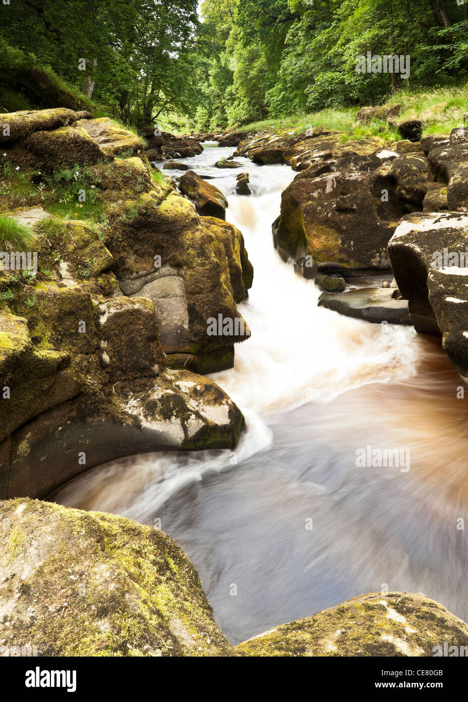The Strid, River Wharfe, Wharfedalte, Bolton Abbey, Yorkshire Dales ...
