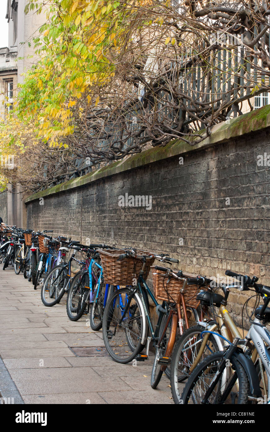 A line of bicycles parked outside a Sydney Sussex college. Cambridge ...