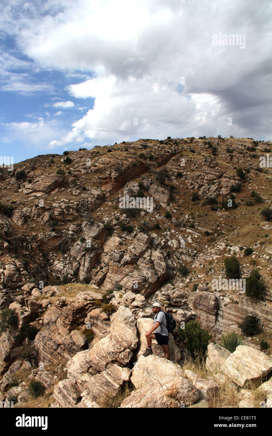 Hiker creek canyon Santa Catalina Natural Area mount Lemon Tucson ...