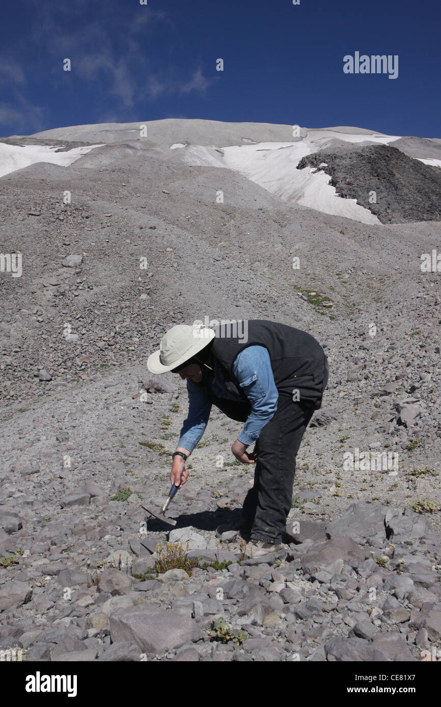 geologist study ash lava outside of crater Mount St Helens Volcano ...