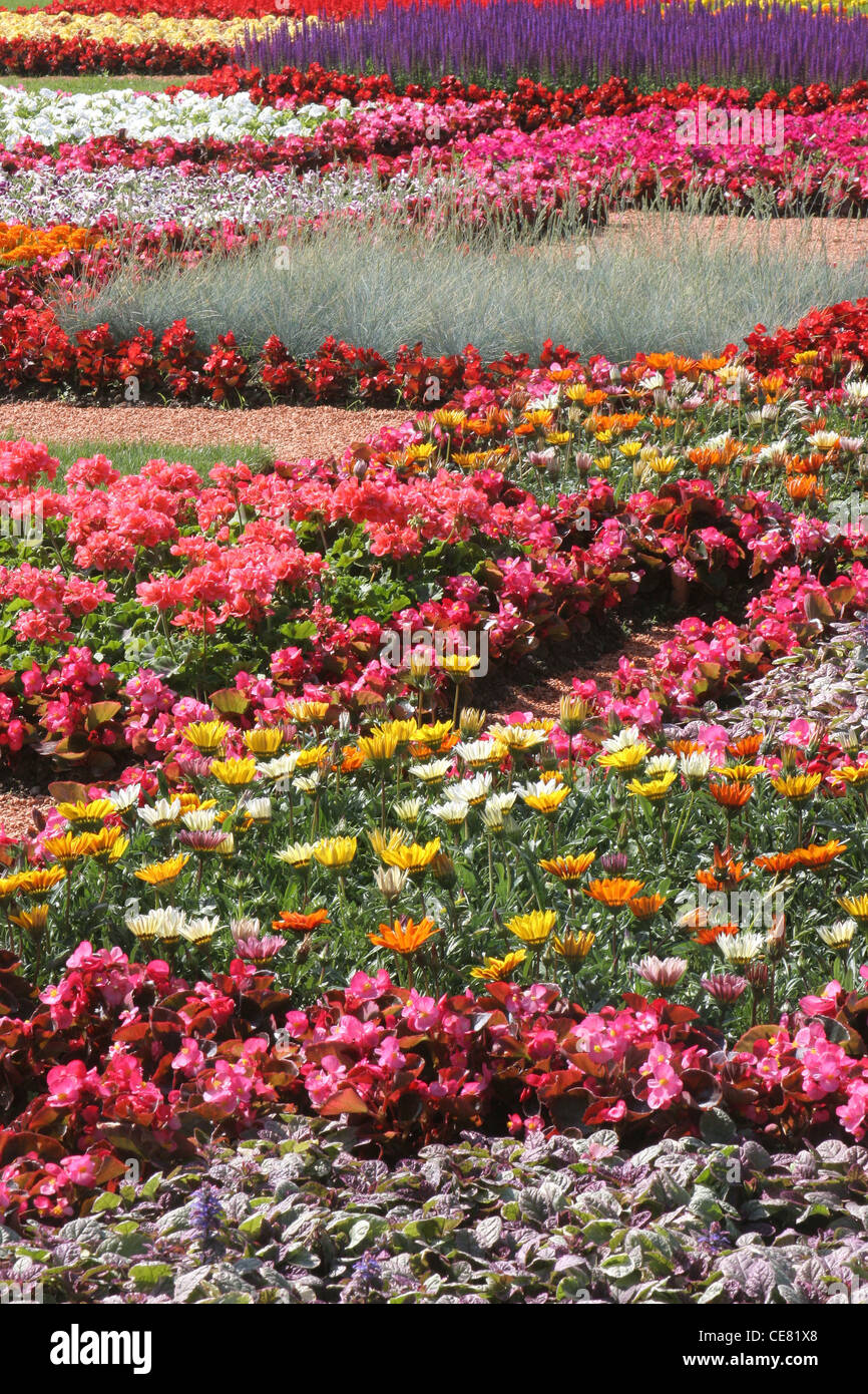 Flowers in park Stock Photo - Alamy