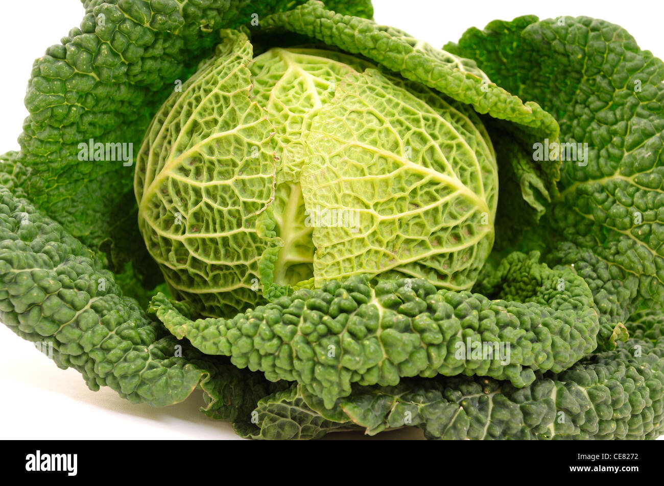 British Savoy Cabbage .Vegetables Stock Photo - Alamy