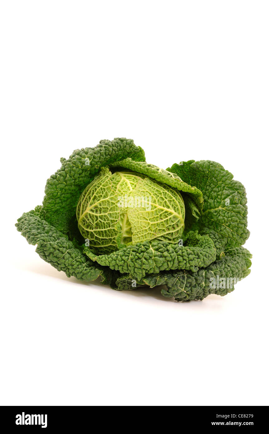 British Savoy Cabbage .Vegetables Stock Photo - Alamy