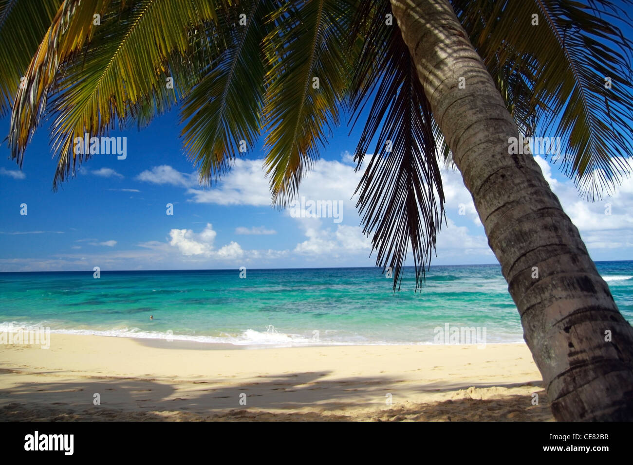 Playa grande dominican republic hi-res stock photography and images - Alamy