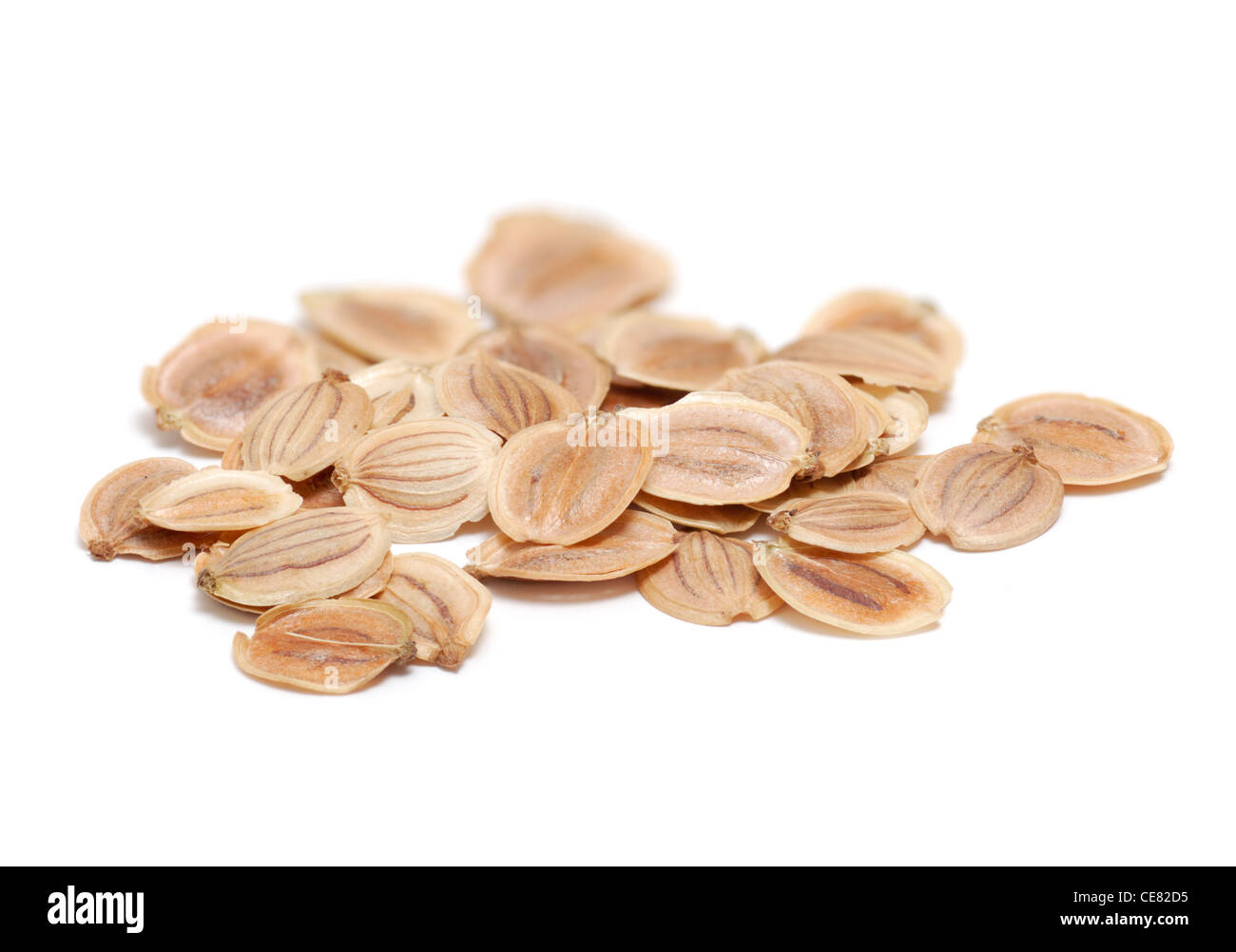 Seeds Cut Out Stock Photos & Seeds Cut Out Stock Images - Alamy