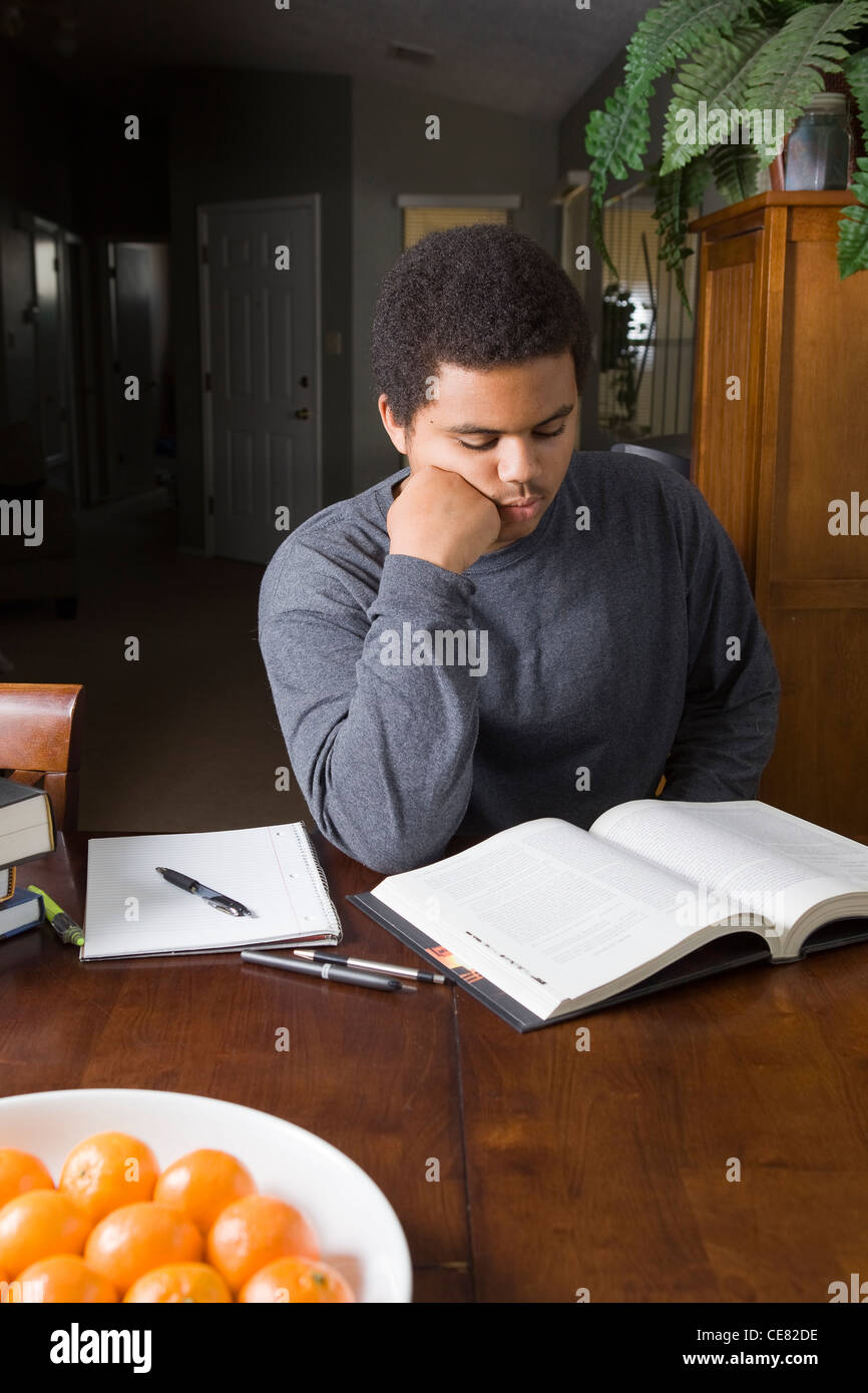 Hard working African American teenage student, studying at home with ...